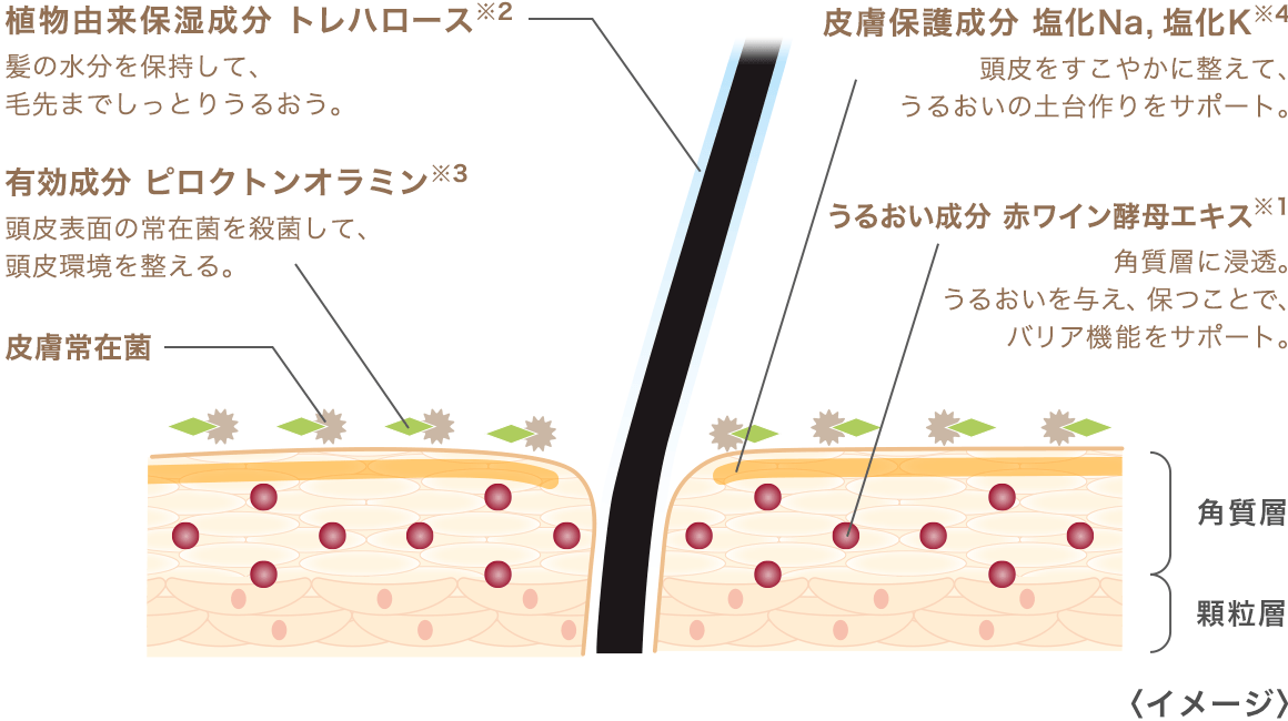 頭皮の乾燥でフケが出る？対策と予防法を解説 | ヘアケア | LICOLO - 髪から自分を好きになる